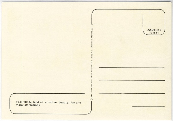 Greetings From Florida Natural Color Postcard